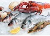 Pescheria in Vendita