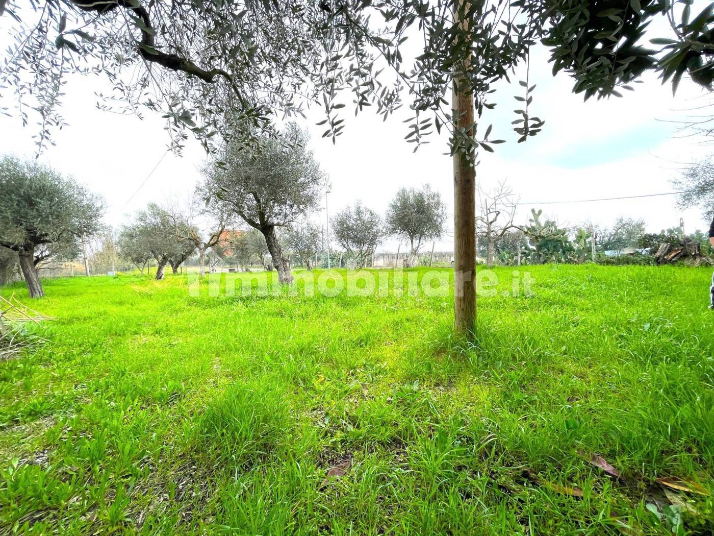 Appartamento via Spaccasassi, Torre del Padiglione - Carano, Aprilia