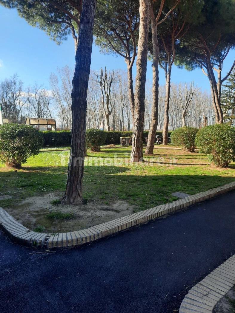 Trilocale via Francesco Domenico Guerrazzi, Stagno, Collesalvetti