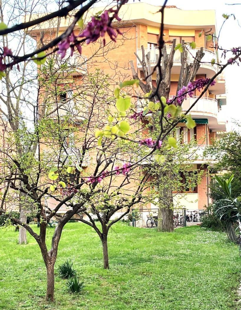 Quadrilocale via Quinto Orazio Flacco 37, Piazzale Giosuè Carducci, Pesaro