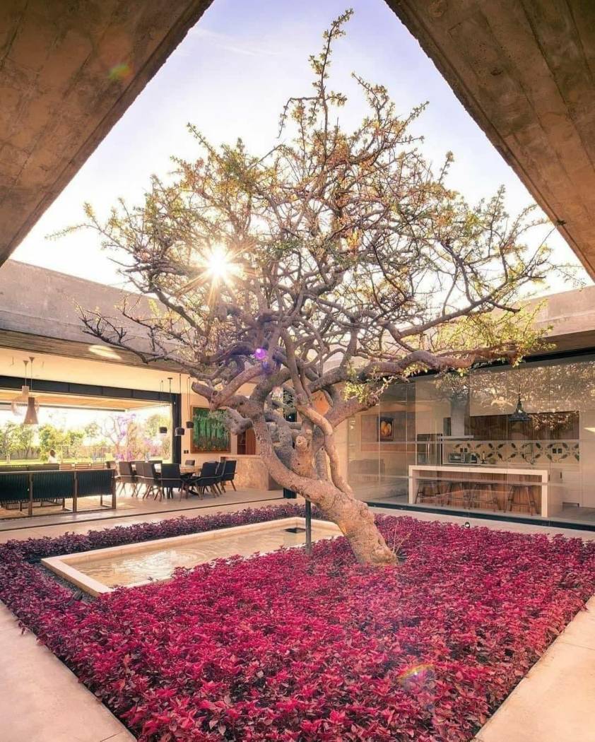 Villa unifamiliare via Tolara di Sotto 38, Osteria Nuova, Ozzano dell'Emilia