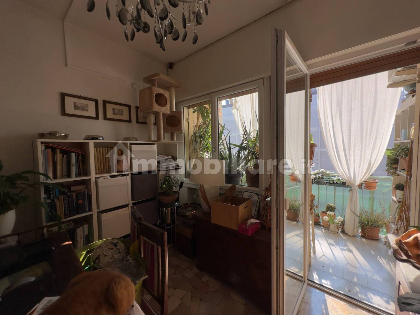 Appartamento viale Luigi Luzzatti, Viale Luzzatti, Treviso