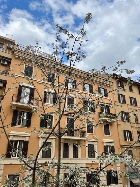 Quadrilocale via Polesine, Bologna, Roma