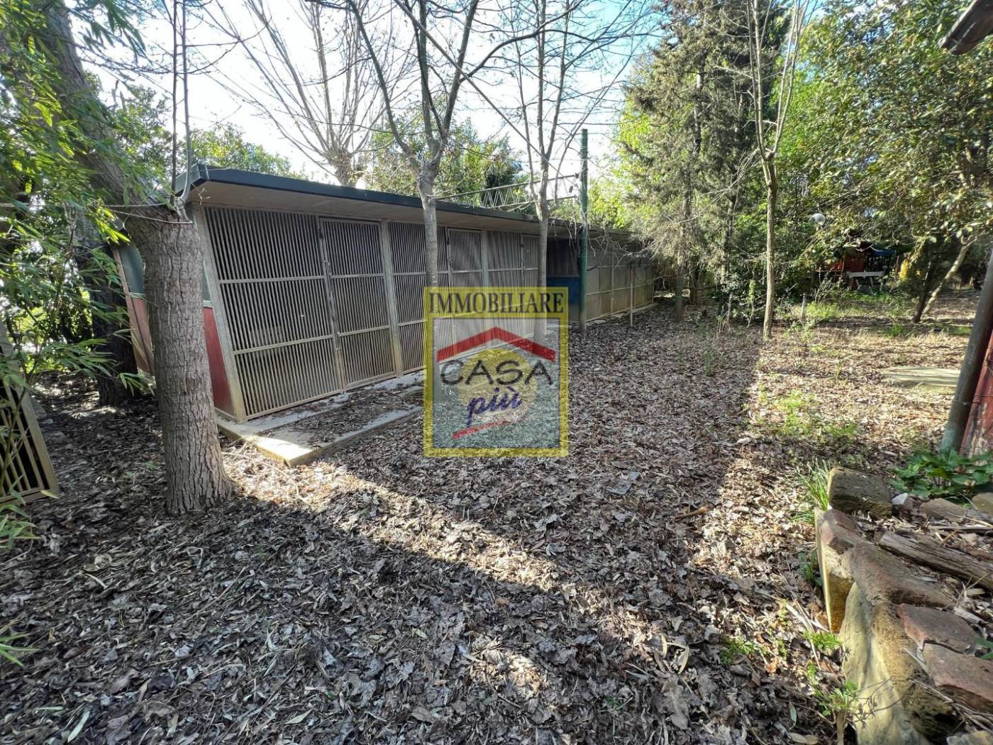 Attività commerciale in Vendita