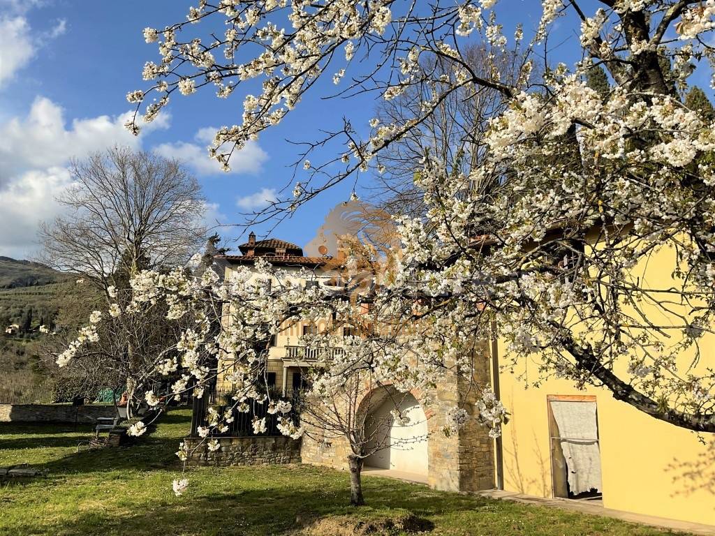 Trilocale via dell&#x27;argomenna 30, Pontassieve