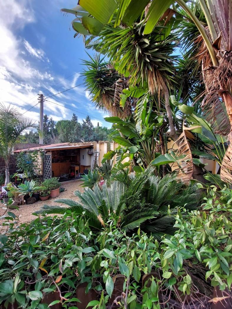 Trilocale buono stato, primo piano, Spagnolu, Sarroch