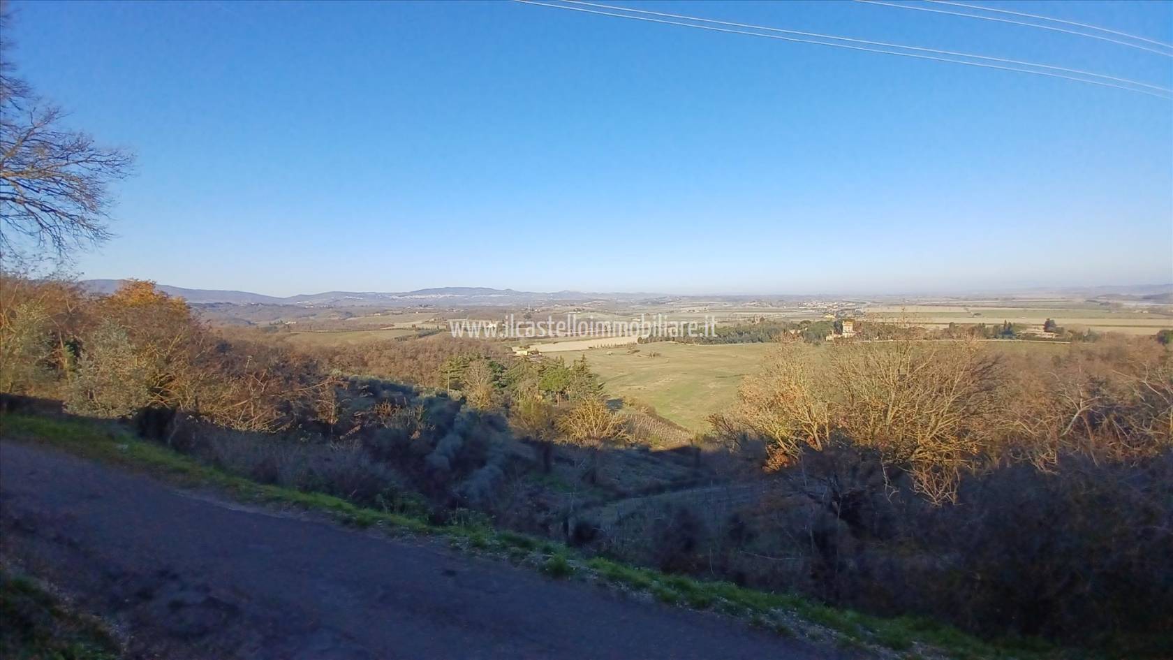 Azienda agricola in Vendita