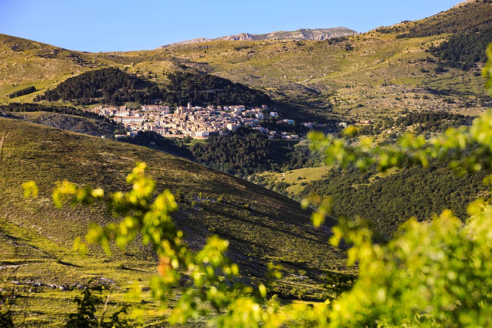 Locale commerciale in Vendita