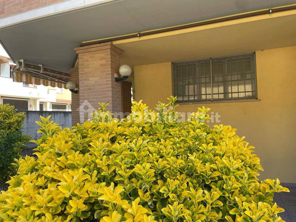 Monolocale via Viara, Castel San Pietro Terme