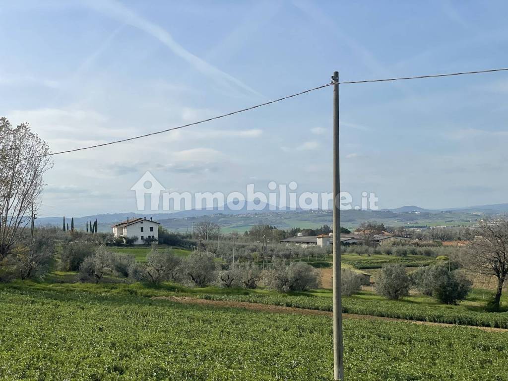Terreno agricolo via Sala, Bettona, rif. 102788526 - Immobiliare.it