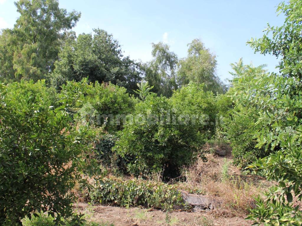 Vendita Rustico in Strada 9 Praiola 4 Riposto. Da ristrutturare, 132 m² ...