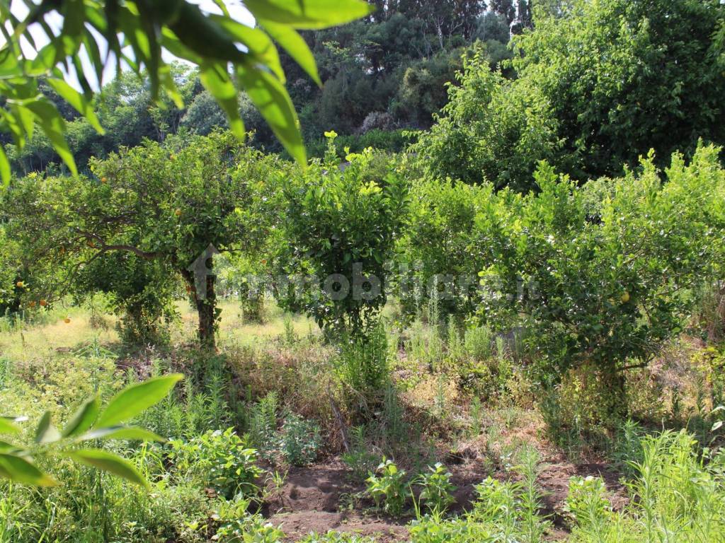 Vendita Rustico in Strada 9 Praiola 4 Riposto. Da ristrutturare, 132 m² ...
