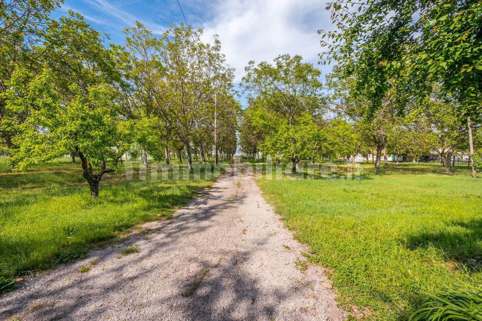 Appartamento via Madonna della Tosse 6, Scandiano