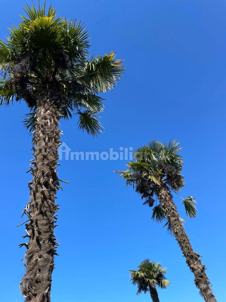 Appartamento primo piano, San Marco, Pisa