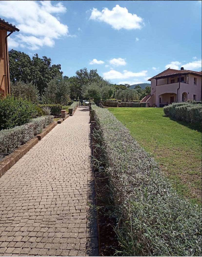 Monolocale vicolo Giuseppe Ornani, Centro, Scarlino