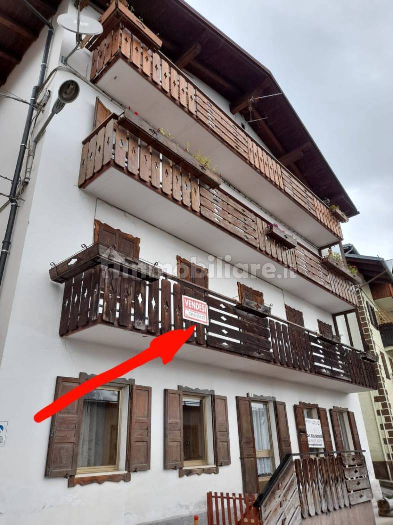 Appartamento via Stadoan 3, Costalta, San Pietro di Cadore