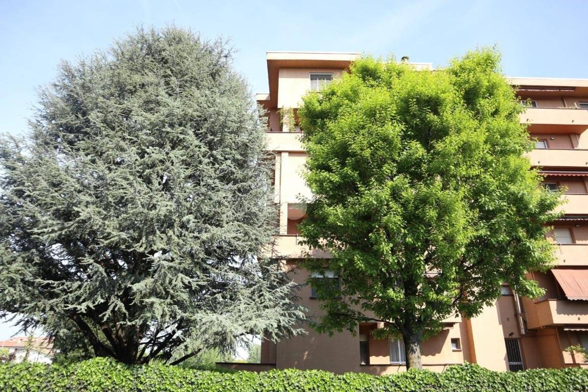 Quadrilocale via Giuseppe di Vittorio 9, Cavatigozzi, Cremona