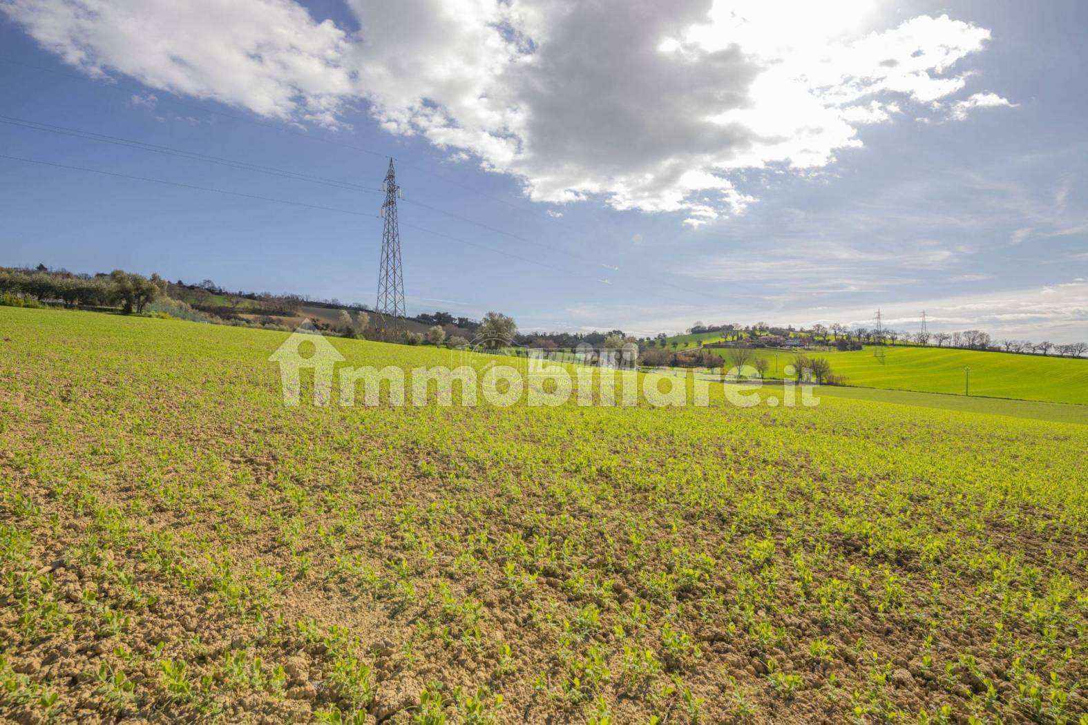 Appartamento via Betellico, Sirolo