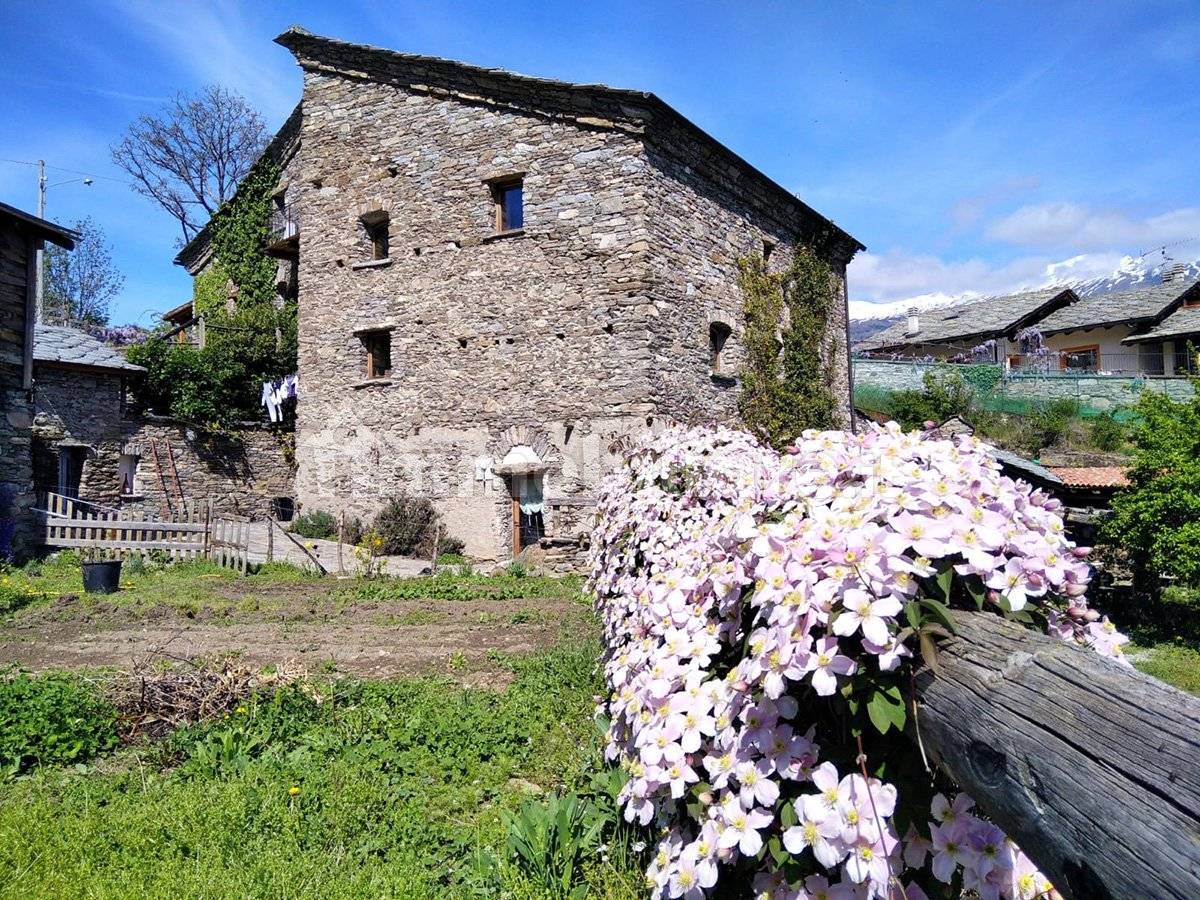 Azienda agricola con laboratorio in Vendita