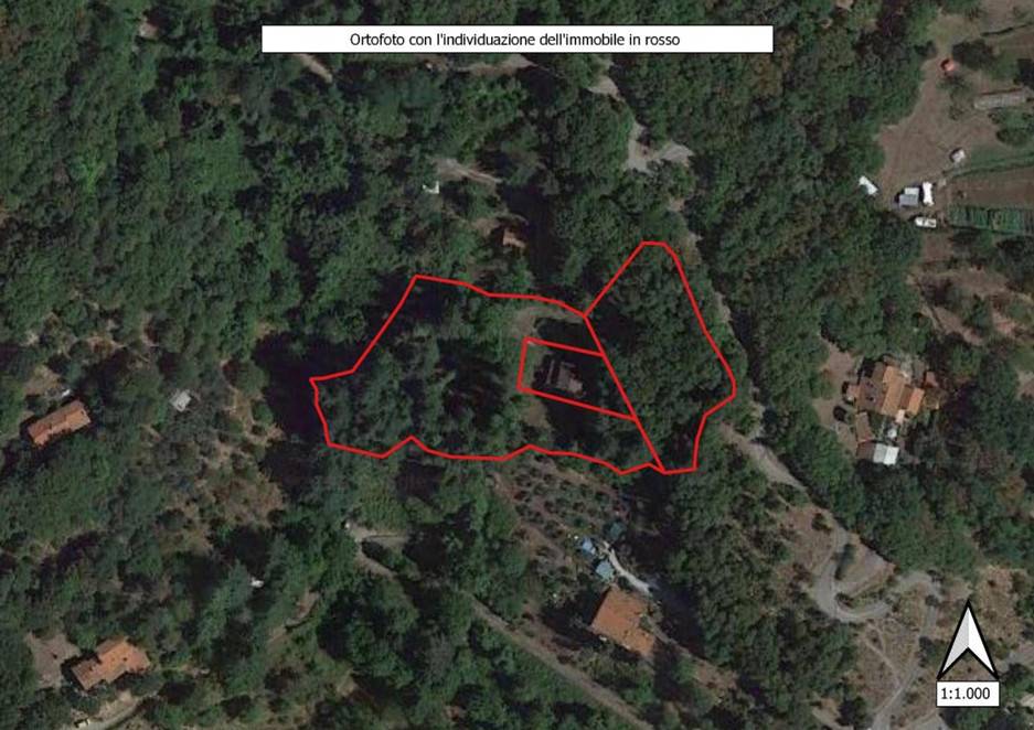 Appartamento, terreno agricolo all'asta via di Tre Scolli, Camaiore