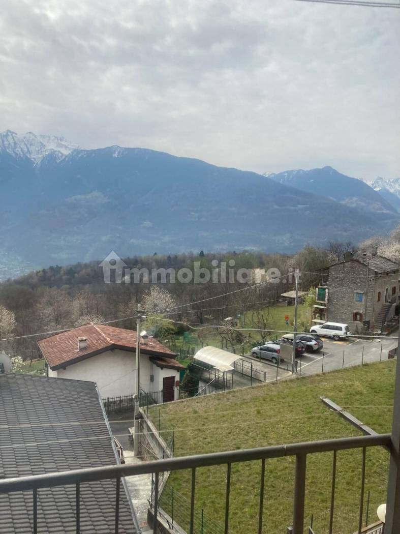 Trilocale naguarido, Civo