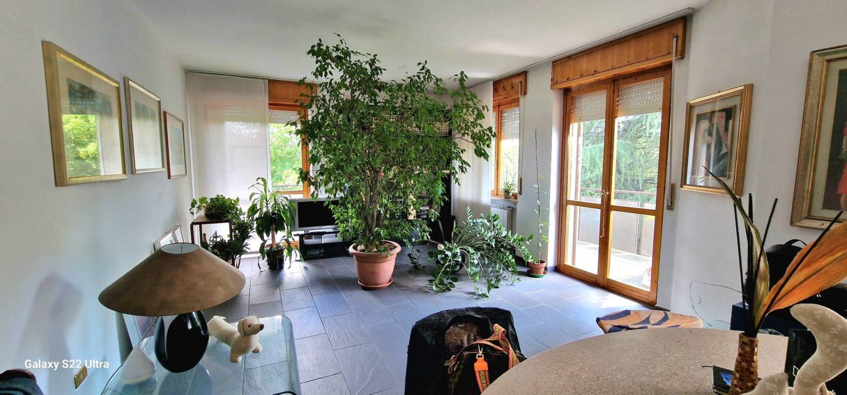 Quadrilocale viale Alessandro Manzoni, Centro, Valenza