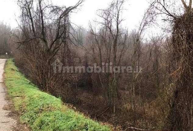 Asta per terreno residenziale, Localita' Pallino - via Madonna Del Lago ...