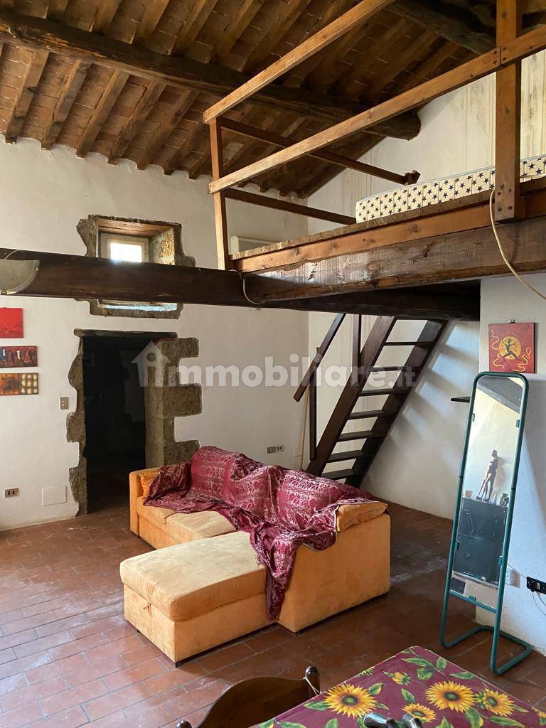 Monolocale vicolo San Rocco, Centro, Pitigliano