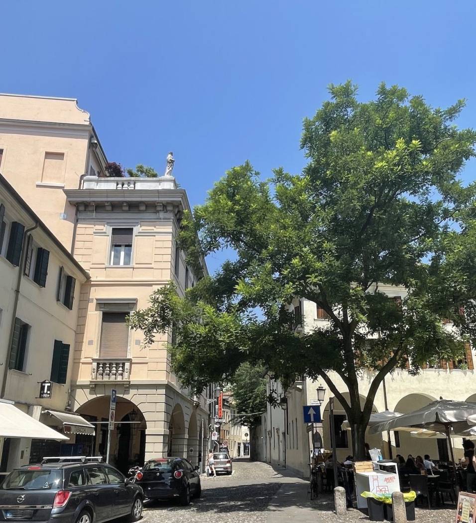 Locale commerciale in Vendita