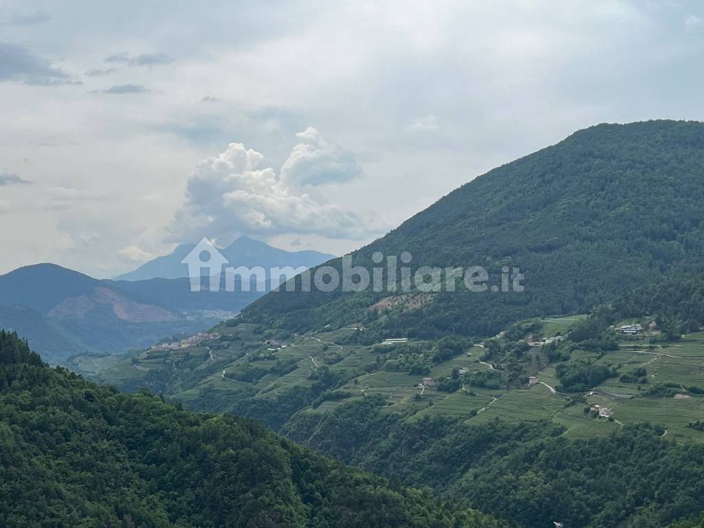 Terreno edificabile Strada Statale della Val di Cembra, Altavalle, rif ...