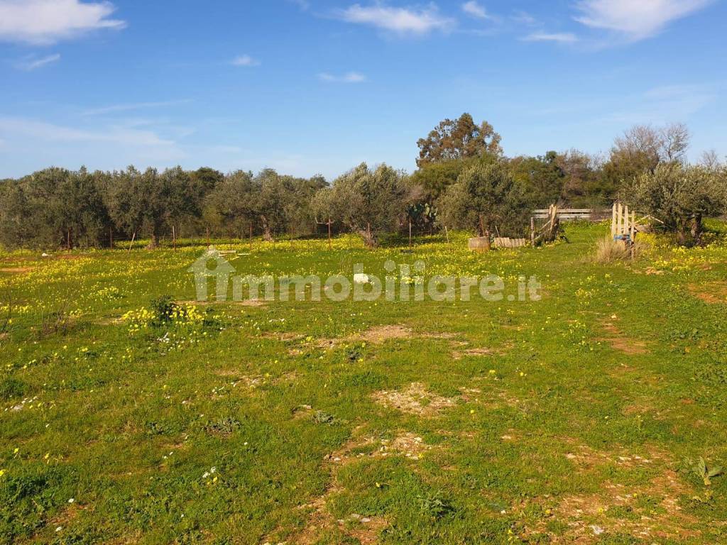 Terreno agricolo contrada mortaro, Trappeto, rif. 103617444 ...