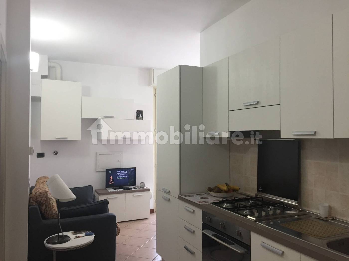 Bilocale viale Mentana, Centro Storico, Parma