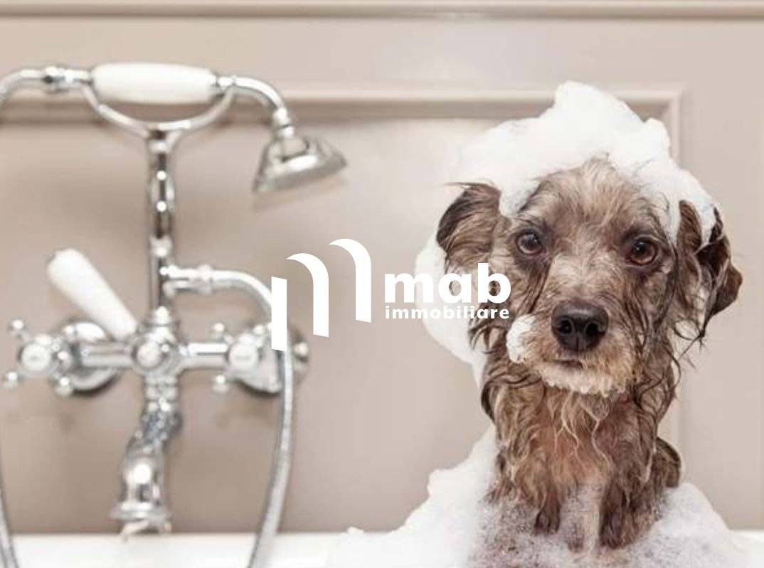 Negozio di toelettatura in Vendita