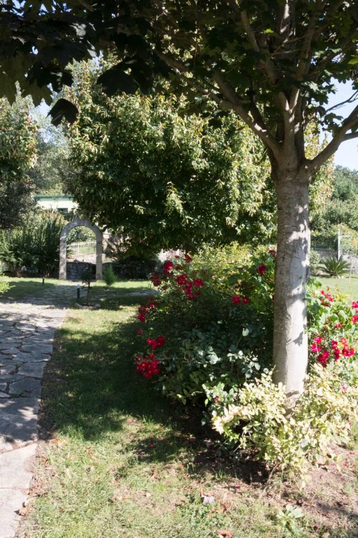 Locale commerciale in Vendita