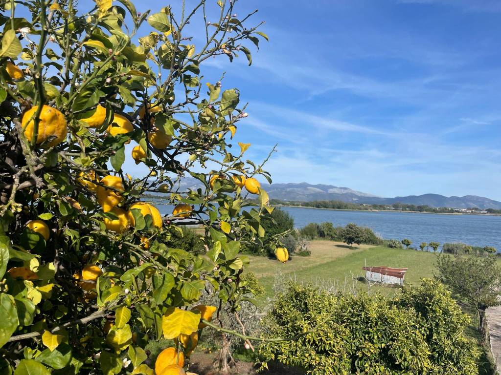 Vendita Casale in via Appia Terracina. Buono stato, posto auto, 5158 m² ...