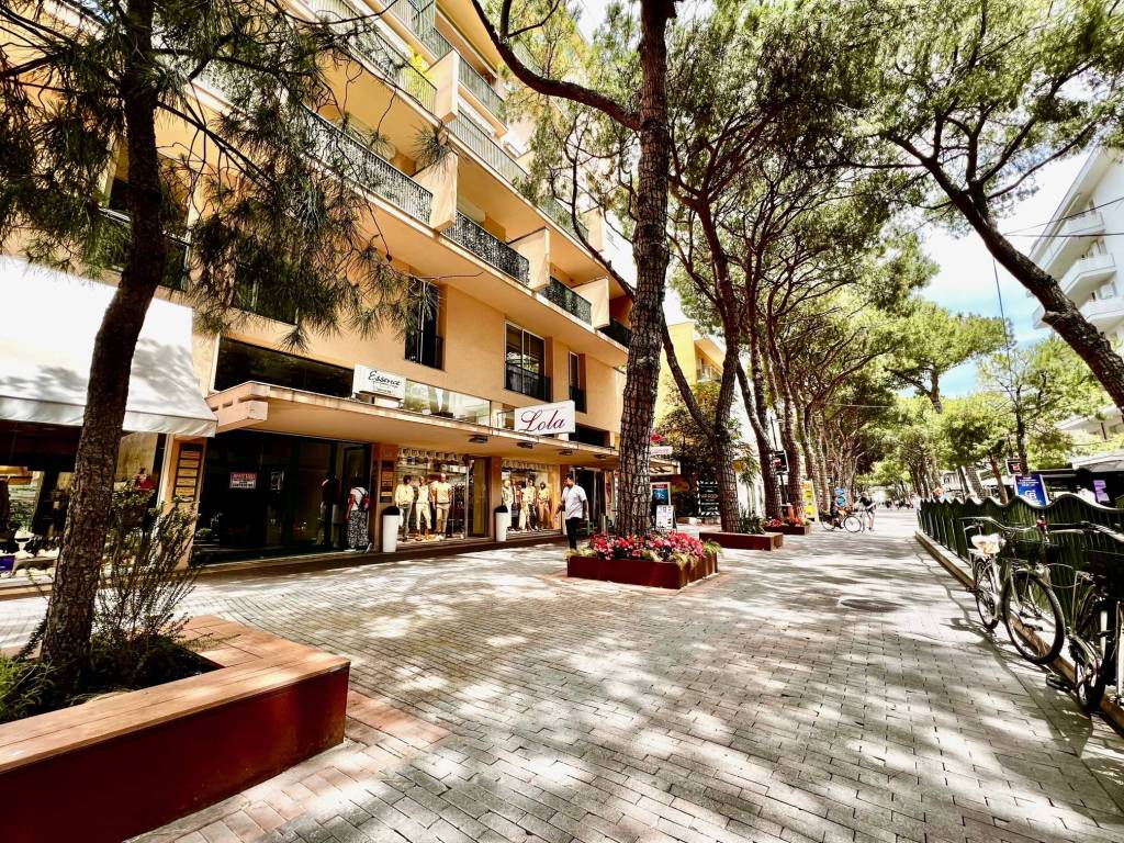Vendita Appartamento in viale Maria Borman Ceccarini 118. Riccione ...