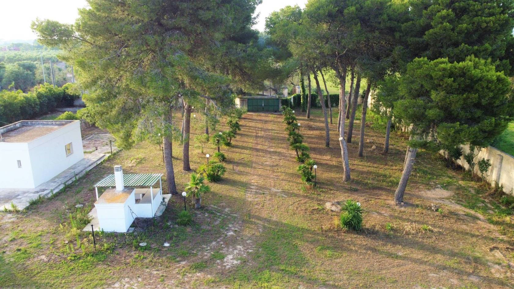 Locale commerciale in Vendita