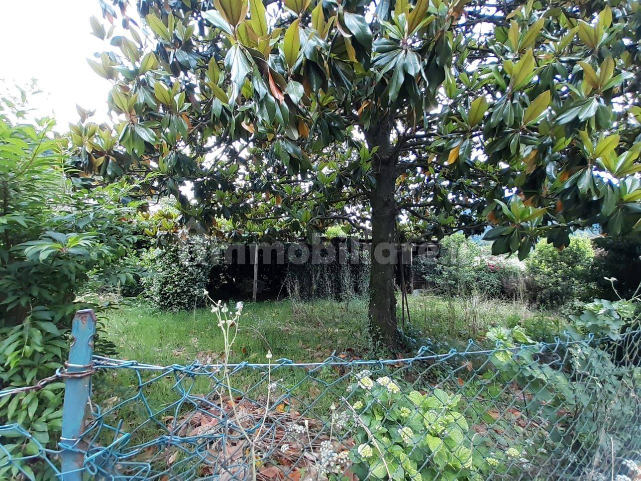 Appartamento via per Torre 271, Mutigliano - Torre, Lucca