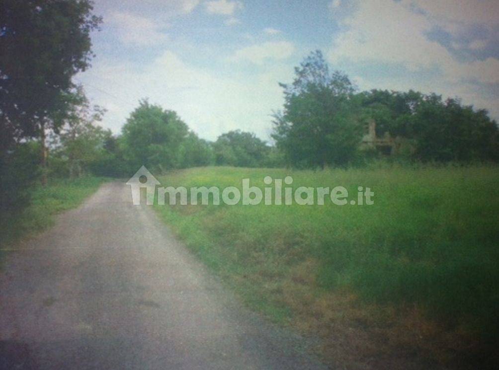 Terreno edificabile Strada Vicinale Rinalda, Meldola, rif. 104534295 ...