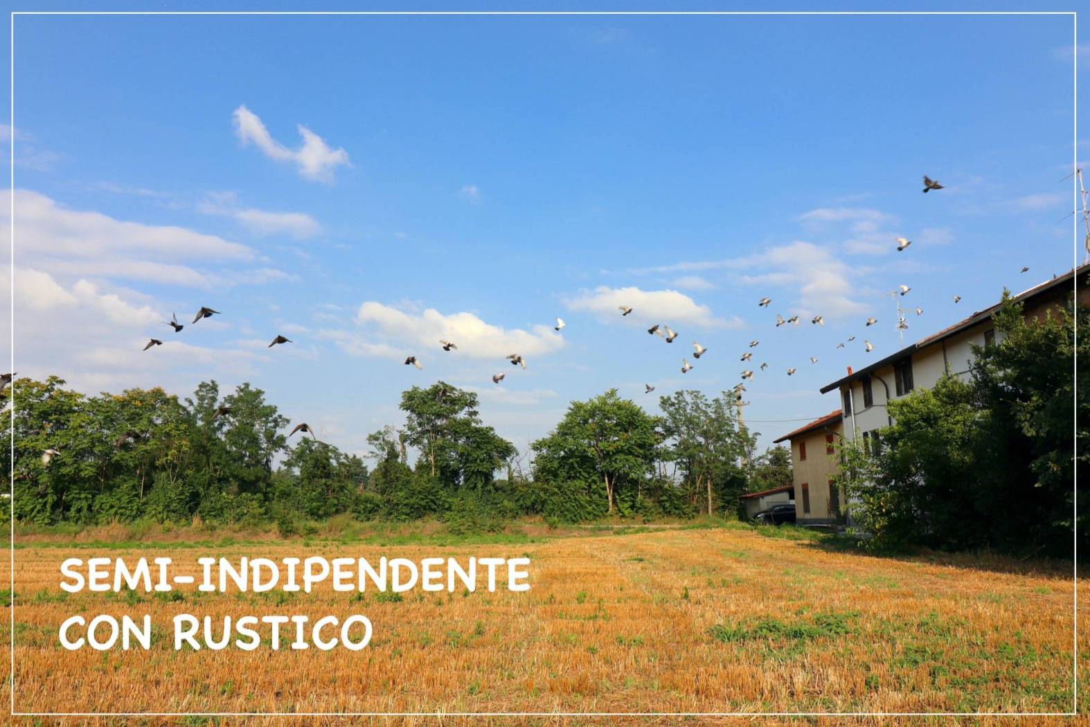 Trilocale via delle Allodole 18, Madonna Regina, Busto Arsizio