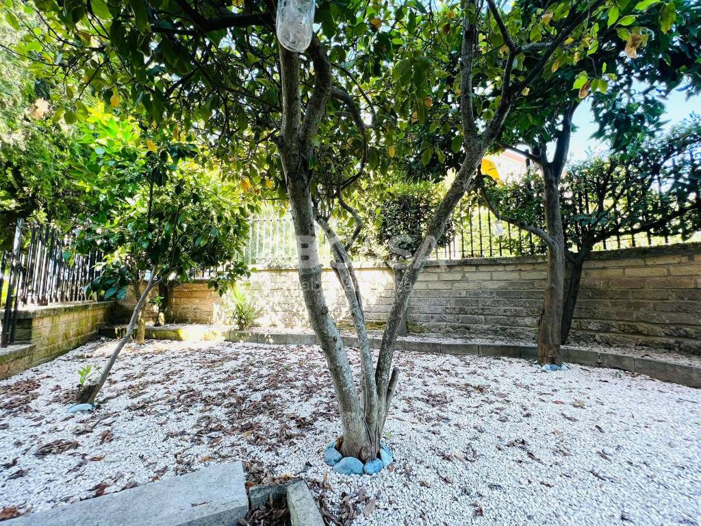 Vendita Appartamento Velletri. Trilocale in via Manlio Quarantelli ...