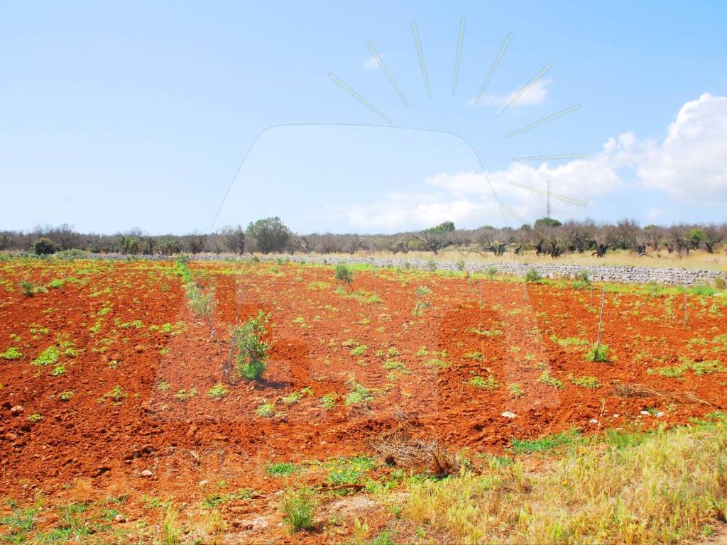 Terreno edificabile Strada Bolano, Tiggiano, rif. 104912591 ...