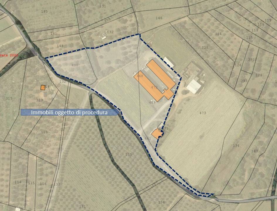 Negozio all'asta Localit Filixi O Pranu E Mesu, snc snc, Villacidro