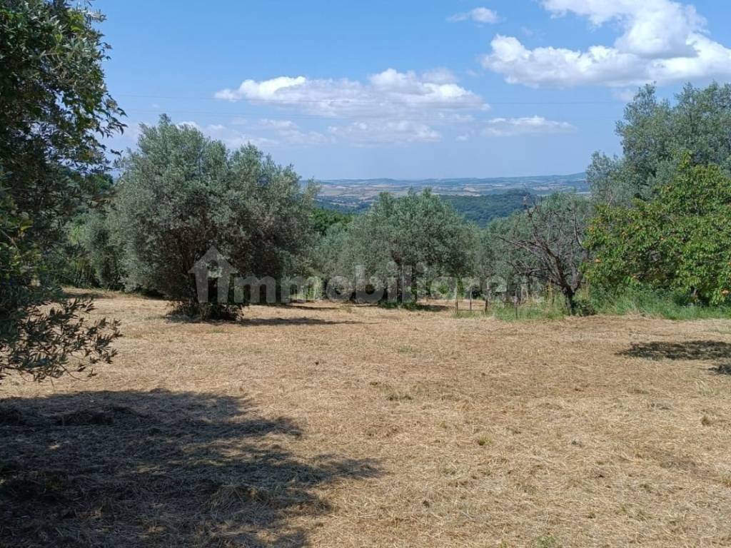 Terreno agricolo Strada Vicinale Saturnia Poggio Capanne, Manciano, rif ...