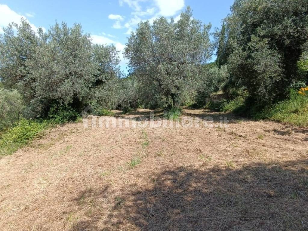 Terreno agricolo Strada Vicinale Saturnia Poggio Capanne, Manciano, rif ...