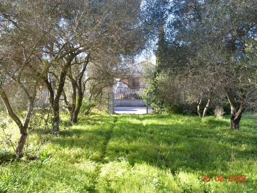 Terreno edificabile Strada Vicinale Baddelonga-Russeglia 97, Sassari ...