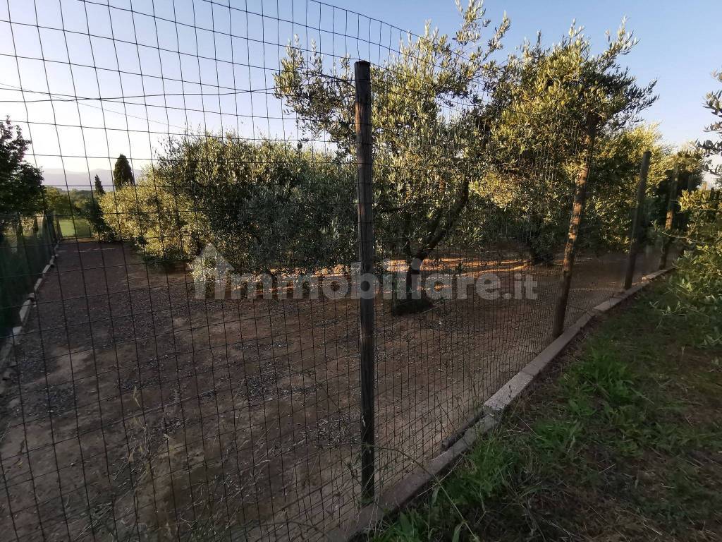 Terreno agricolo via dei Princi, Casciana Terme Lari, rif. 81250607 ...