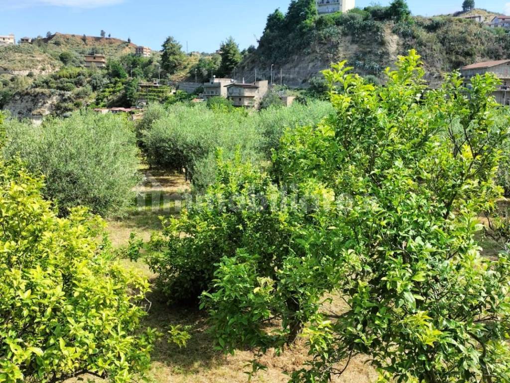 Terreno agricolo via Provinciale Armo, Reggio Calabria, rif. 105373283 ...