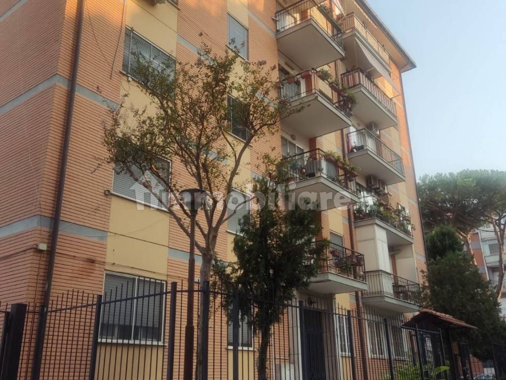 Vendita Appartamento Napoli. Quadrilocale in via Louis Armstrong ...