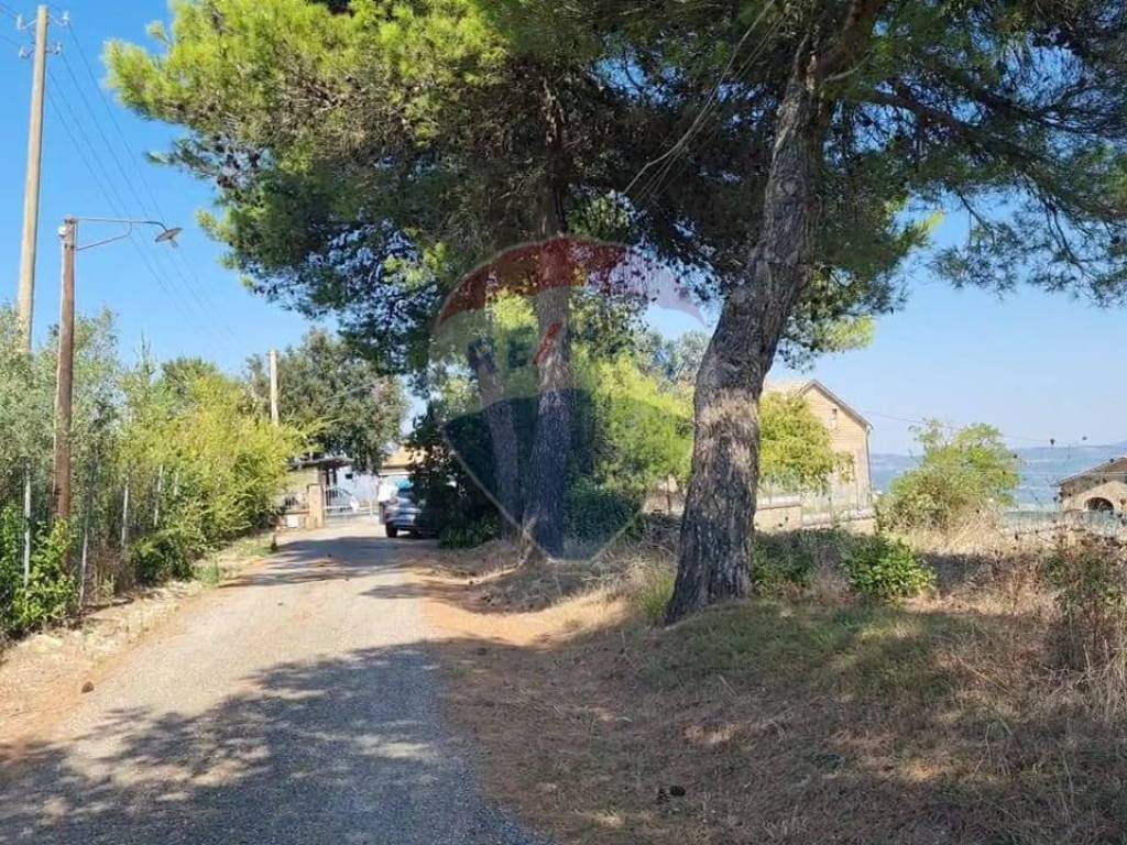 Terreno edificabile strada provinciale snc, Castel Viscardo, rif ...